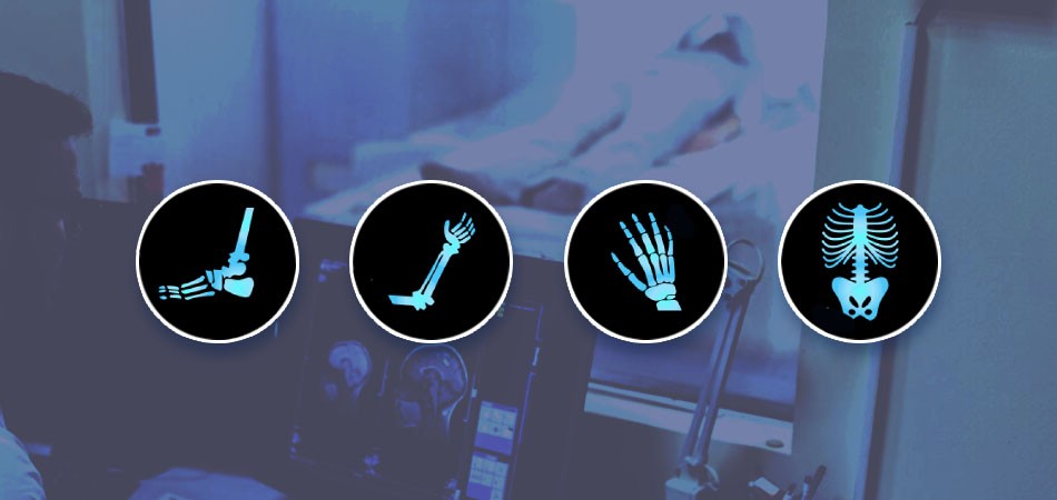 Exploring Further Education Options After Completing BSc Radiology