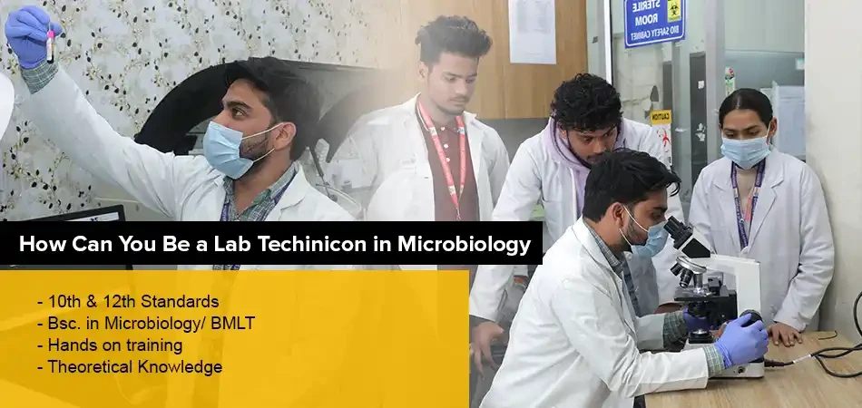How to become a Microbiology Lab Technician-A Beginner's guide