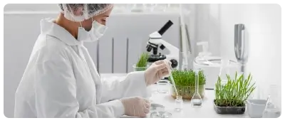 MSC Biotechnology Course in Delhi, India |Fees, Scope, Eligibility ...